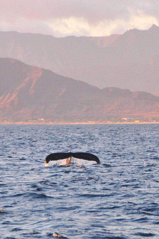 Ko Olina Captain's Sunset + Tasting - Ko Olina Captains Sunset + Tasting: An Authentic Hawaiian Sailing Experience