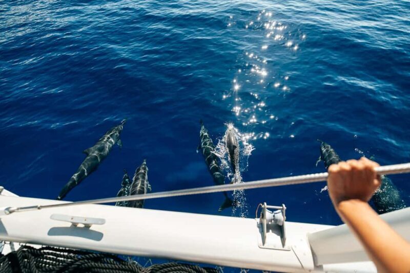 Ko Olina Exclusive Snorkel + Lunch - What to Expect from the Ko Olina Snorkel + Lunch Tour