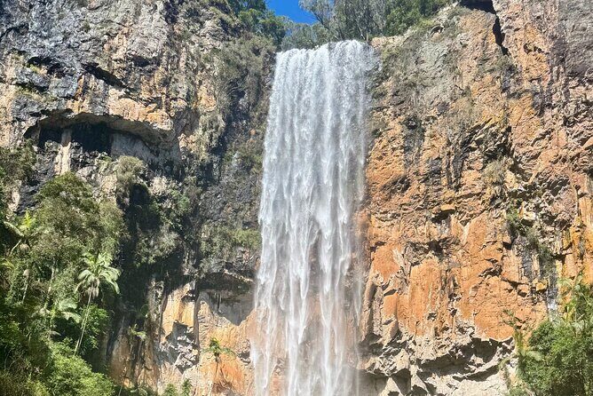 Koalas, 6 Springbrook Waterfalls and Natural Bridge Day Tour - Purling Brook Falls: A Dramatic Waterfall with Panoramic Views