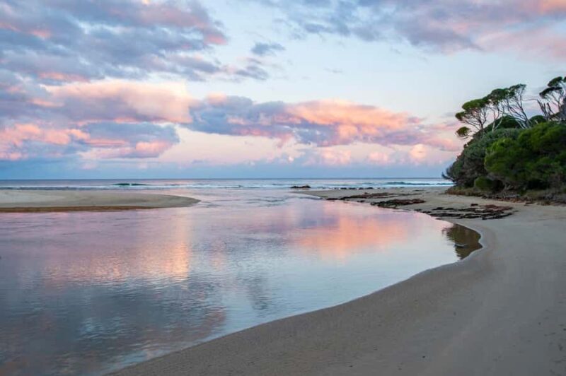 Koalas, Kangaroos and Lyrebirds - The Practicalities