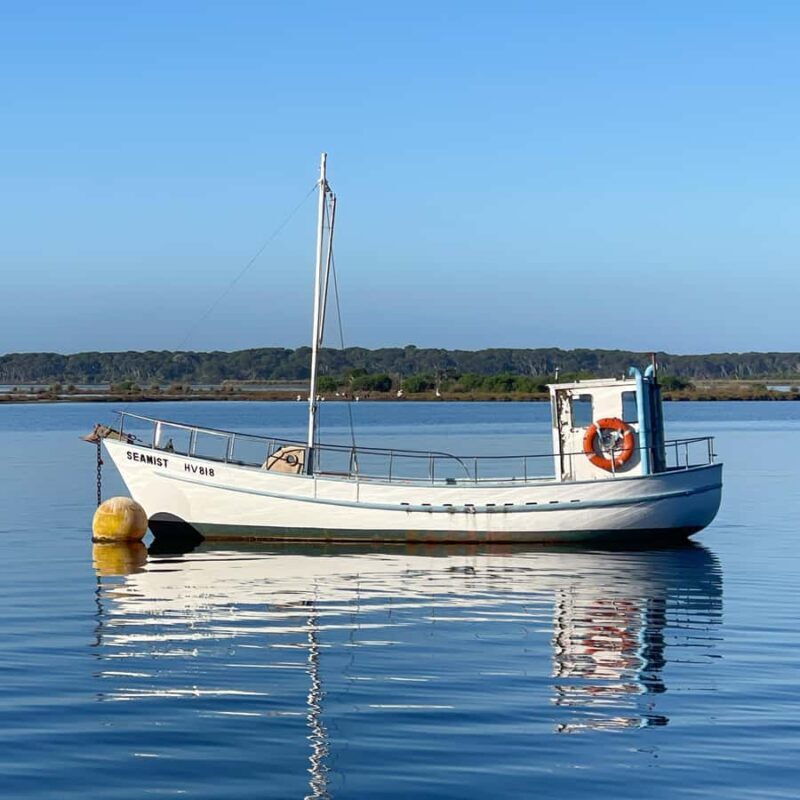 Koalas, Kangaroos and Lyrebirds - The Sum Up