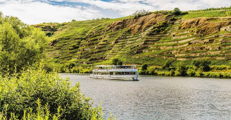 Koblenz: Panoramic Cruise on Moselle River to Winningen - What the Experience Feels Like