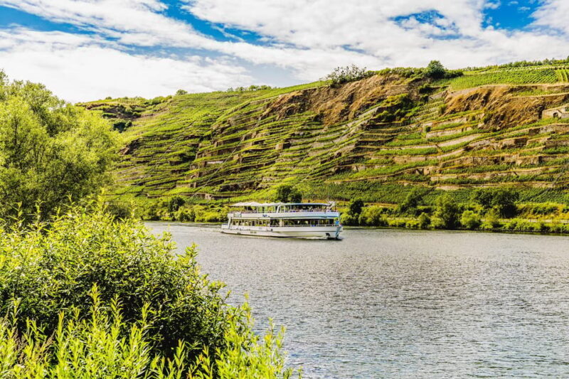 Koblenz: Panoramic Cruise on Moselle River to Winningen - Who Is This Tour For?