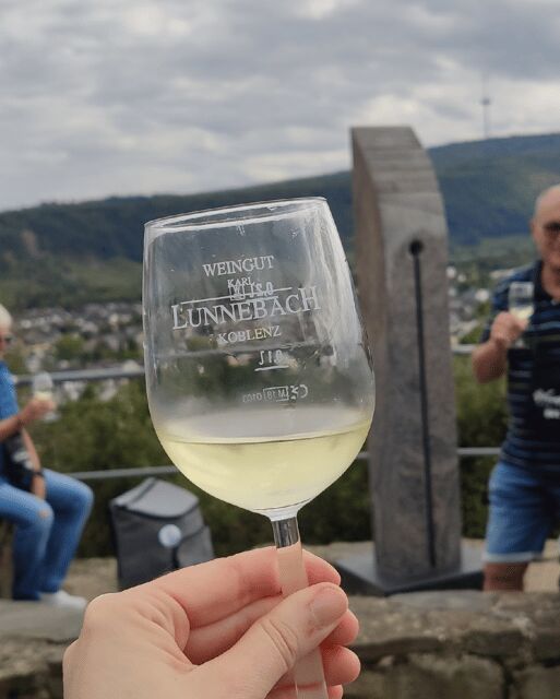 Koblenz: The Living Vineyard, Nature & Wine Enjoyment - Exploring the Itinerary: What Makes This Tour Special  