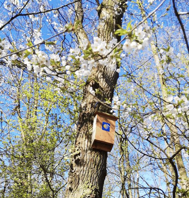 Koblenz: The Living Vineyard, Nature & Wine Enjoyment - Final Thoughts  