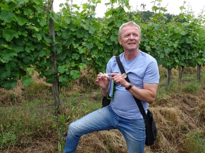 Koblenz: The Living Vineyard, Nature & Wine Enjoyment - Frequently Asked Questions  