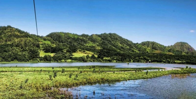 Koloa: Kauais Longest 8-Line Zipline Tour - Practical Tips for Your Zipline Adventure