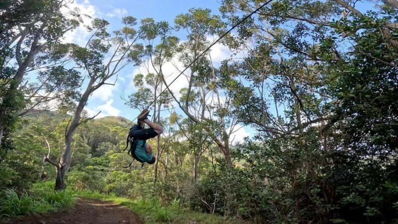 Koloa: Kauais Longest 8-Line Zipline Tour - Final Words: Why It’s Worth Considering
