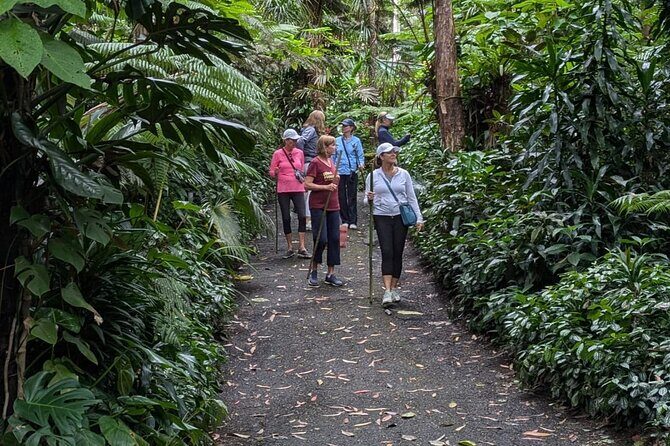 Kona Cloud Forest and Coffee Tour with Sea Turtle Beach Visit - Final Thoughts