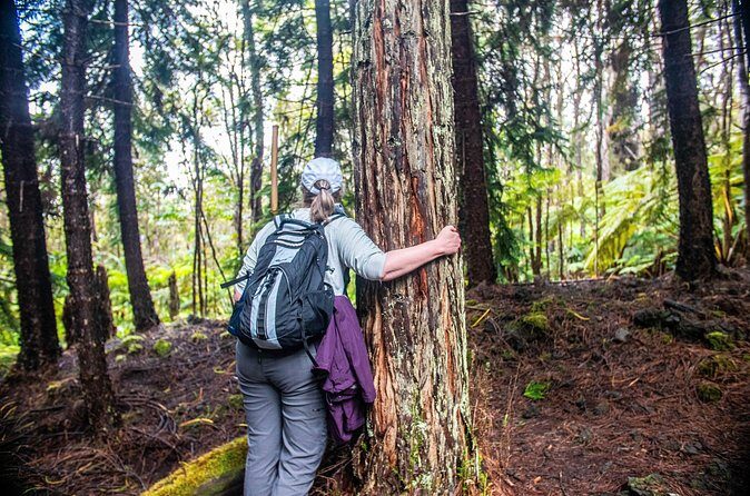 Kona Cloud Forest Sanctuary Pantropical Tour (1.5 hrs) - FAQ