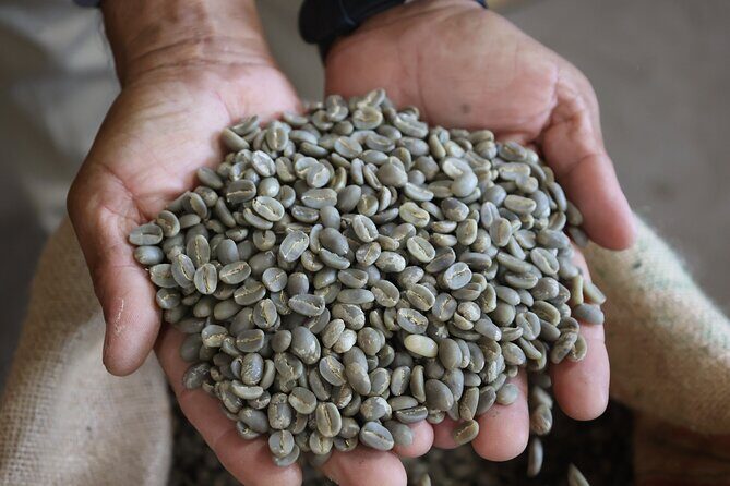 Kona Coffee Farm Tour from Tree to Tasting Room - Final thoughts