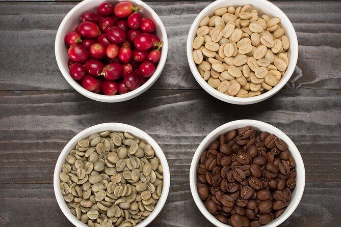 Kona Coffee Tasting: A Farm to Cup Experience - Key Points