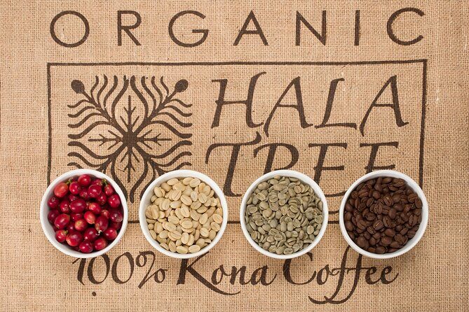 Kona Coffee Tasting: A Farm to Cup Experience - FAQs