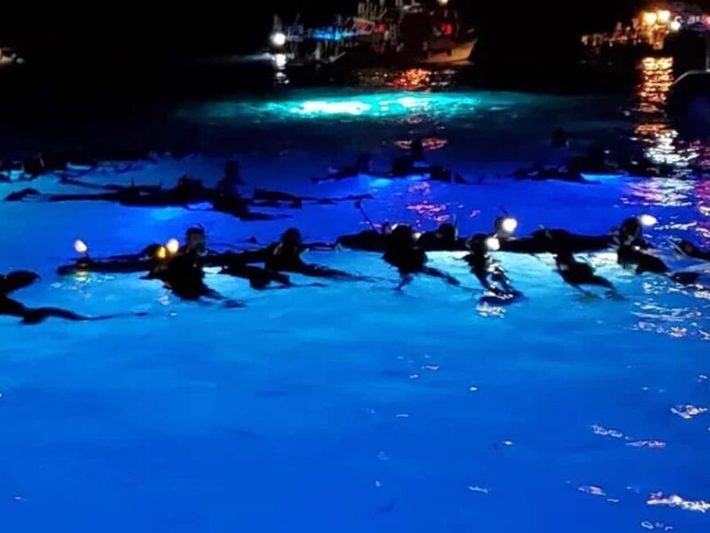 Kona: Manta Ray Night Snorkel Adventure - Key Points