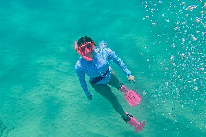 Kona Snorkeling Adventure Open Charter - An In-Depth Look at the Kona Snorkeling Adventure