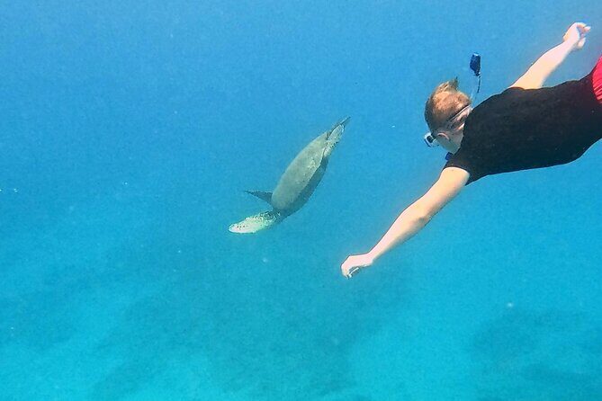 Kona Snorkeling Adventure Open Charter - Final Thoughts