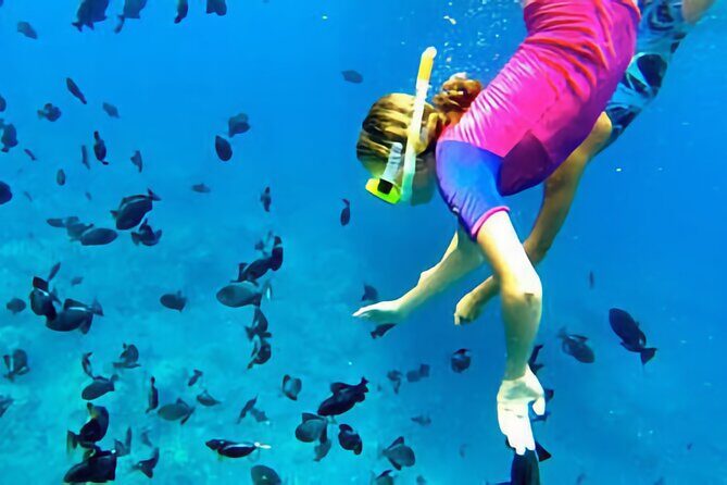 Kona Snorkeling Gear Rental Dive Into Adventure - The Sum Up: Who Should Consider This Snorkeling Gear Rental?