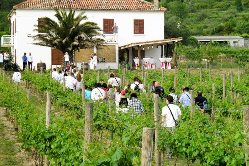 Konavle Valley: Tour with Wine Tasting from Dubrovnik - Discovering the Konavle Valley: A Guide to the Wine and Tradition Tour from Dubrovnik