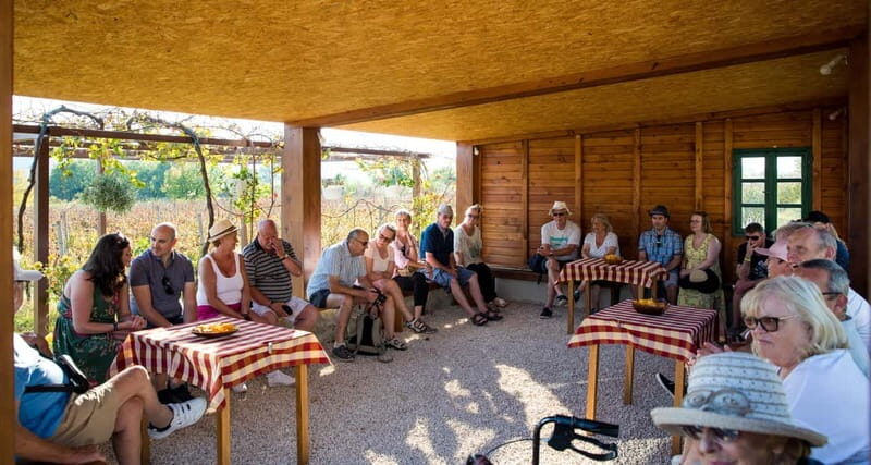 Konavle Valley: Tour with Wine Tasting from Dubrovnik - The Value of This Tour