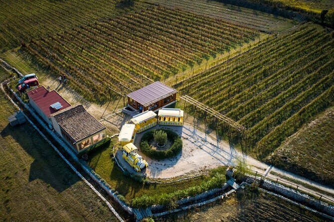 Konavle Valley Wine Tour from Dubrovnik with Train Ride and Wine Tasting - A Closer Look at the Highlights