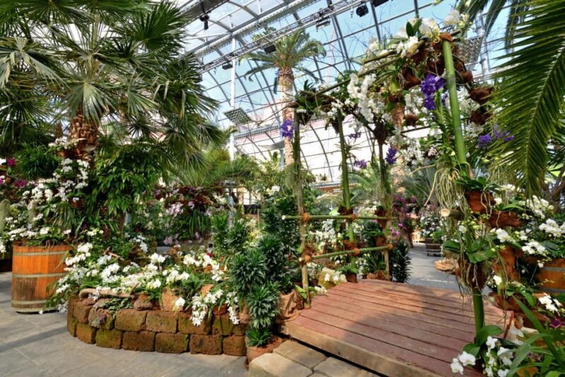 Konstanz: Mainau Island Entry Ticket - The Sum Up