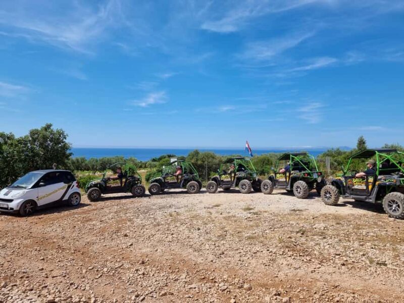 Korcula: Buggy Safari with Local Food and Wine Tasting - FAQ