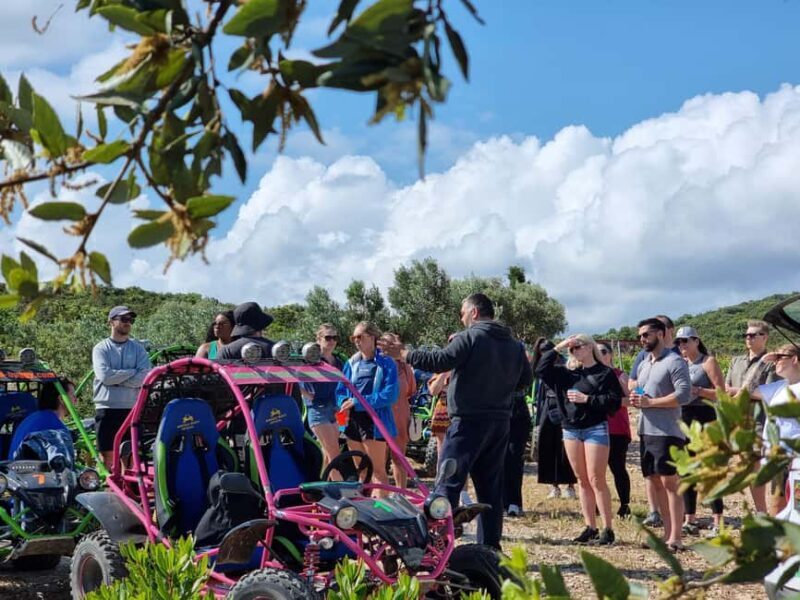 Korcula: Buggy Safari with Local Food and Wine Tasting - In The Sum Up
