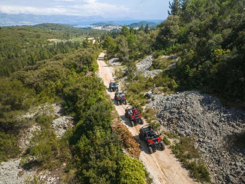 Korcula Buggy Safari With Wine Tasting - Authentic Experiences Reported by Travelers