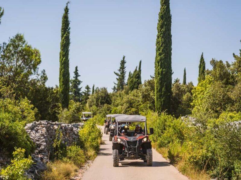 Korcula Buggy Safari With Wine Tasting - Who Will Love This Tour?