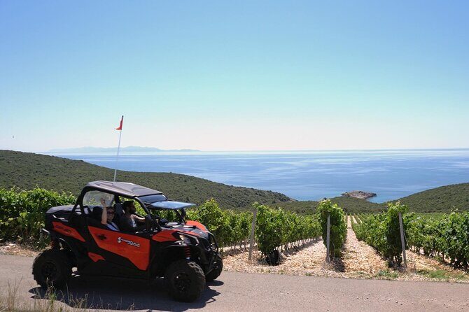 Korcula Island Private Buggy Beach Hunting Safari with lunch - Key Points