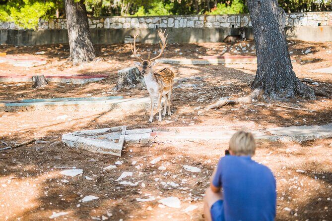 Korcula Islands Picnic Boat Tour - Practical Considerations and Potential Drawbacks