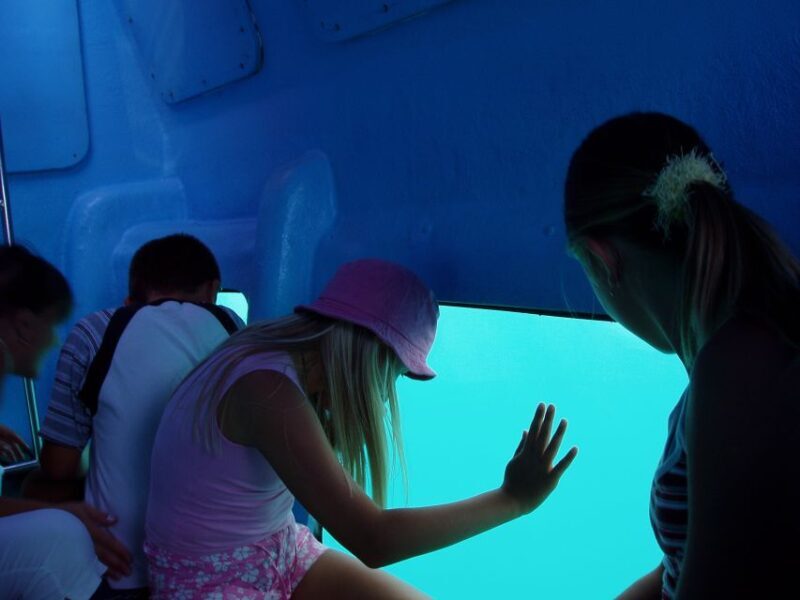 Korcula: Semi-Submarine Tour - Overview of the Korcula Semi-Submarine Tour