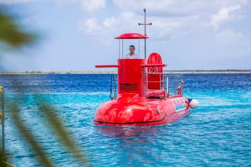 Korcula: Semi-Submarine Tour - The Sum Up