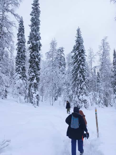 Korouoma Canyon Frozen Waterfalls Hike & Private Teepee BBQ - The Guided Hike: Exploring Korouoma’s Frozen Waterfalls