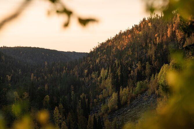 Korouoma canyon national park & frozen waterfalls with BBQ - The Sum Up: Is This Tour Right for You?