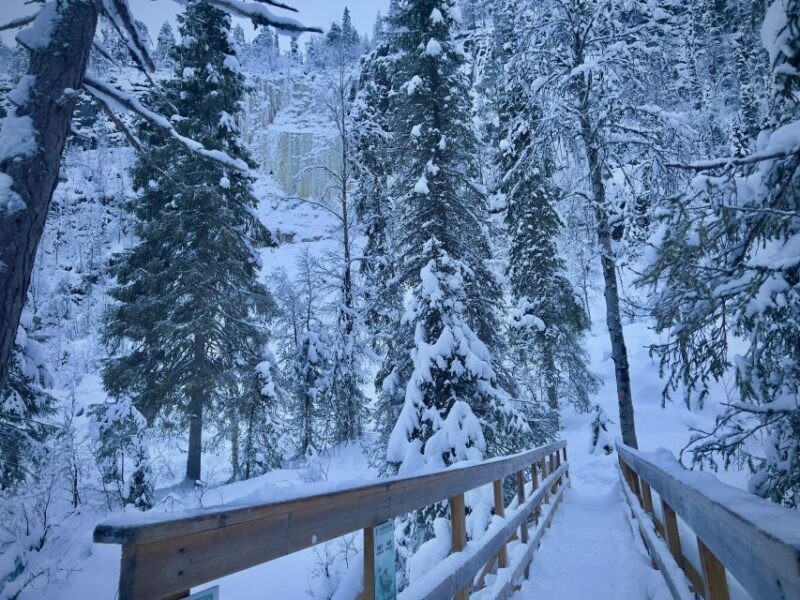 Korouoma: Frozen Waterfall Hiking Tour - Key Points