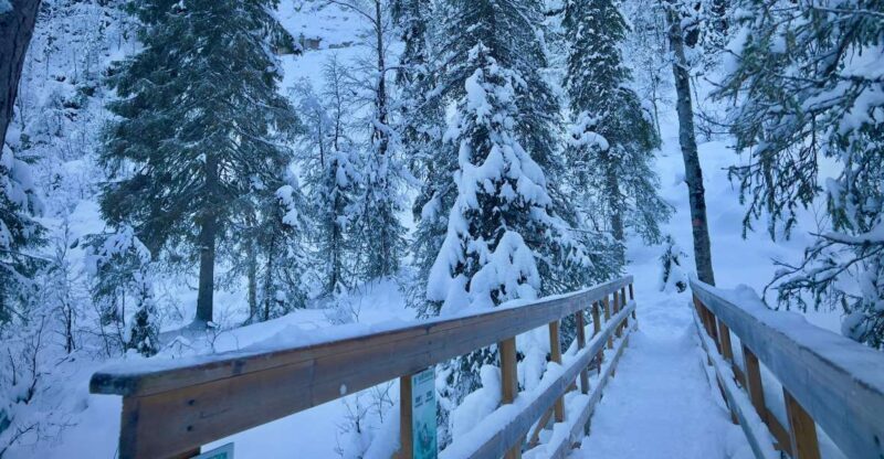 Korouoma: Frozen Waterfall Hiking Tour - The Itinerary Breakdown