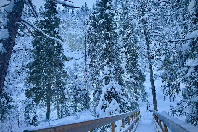 Korouoma Frozen Waterfalls Hiking Tour - Who Will Love This Tour?