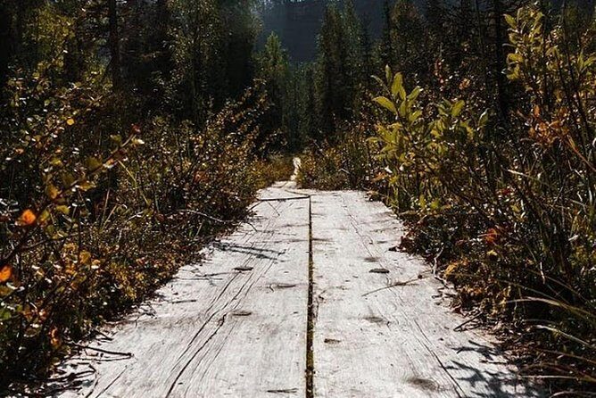 Korouoma National Park & Frozen Waterfalls Adventure - The Experience in Detail