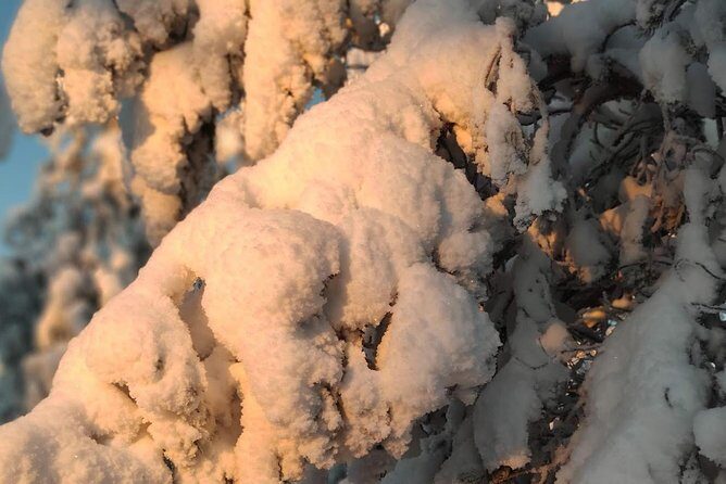 Korouoma National Park & Frozen Waterfalls Adventure - Who Would Love This Experience?