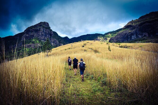 Koroyanitu National Heritage Park Fiji - Hike - Waterfall - A Closer Look at the Koroyanitu Hike