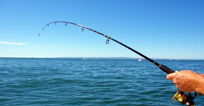 Kos: Fishing Trip Experience with a Greek Fisherman's Family - Key Points