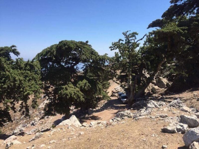 Kos: Full-Day Jeep Safari with Lunch - Key Points