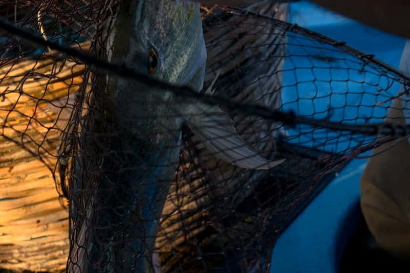 Kos, Greece: Fishing Trip Experience with Captain Tasos - FAQ