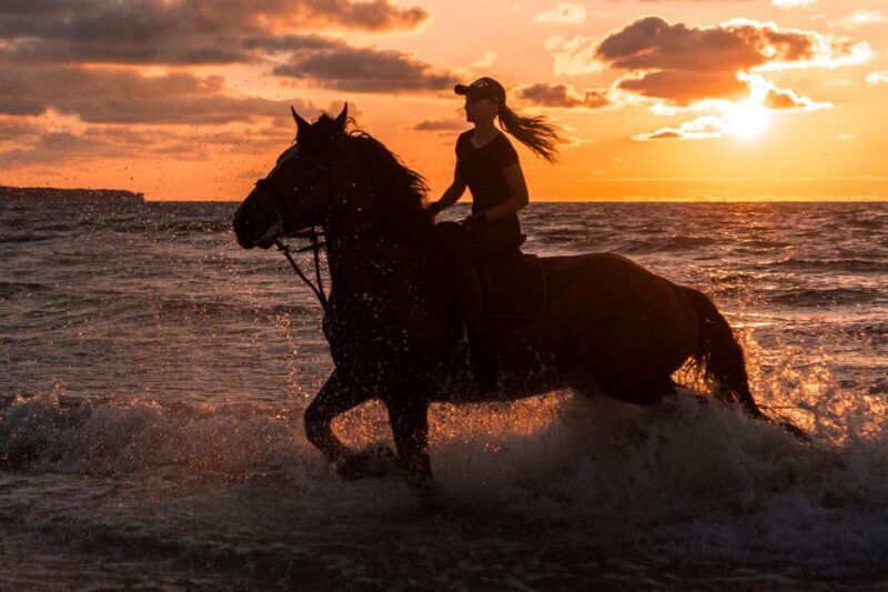 Kos: Horse Riding Experience on the Beach with Instructor - Key Points
