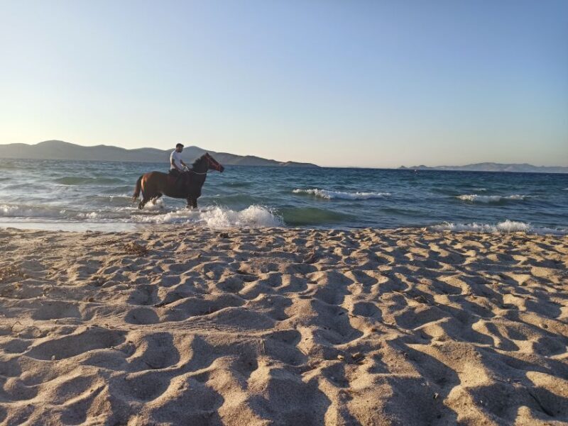 Kos: Horse Riding Experience on the Beach with Instructor - Frequently Asked Questions