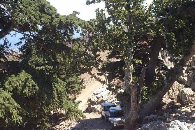 Kos Land Rover Safari - Who Will Love This Tour?