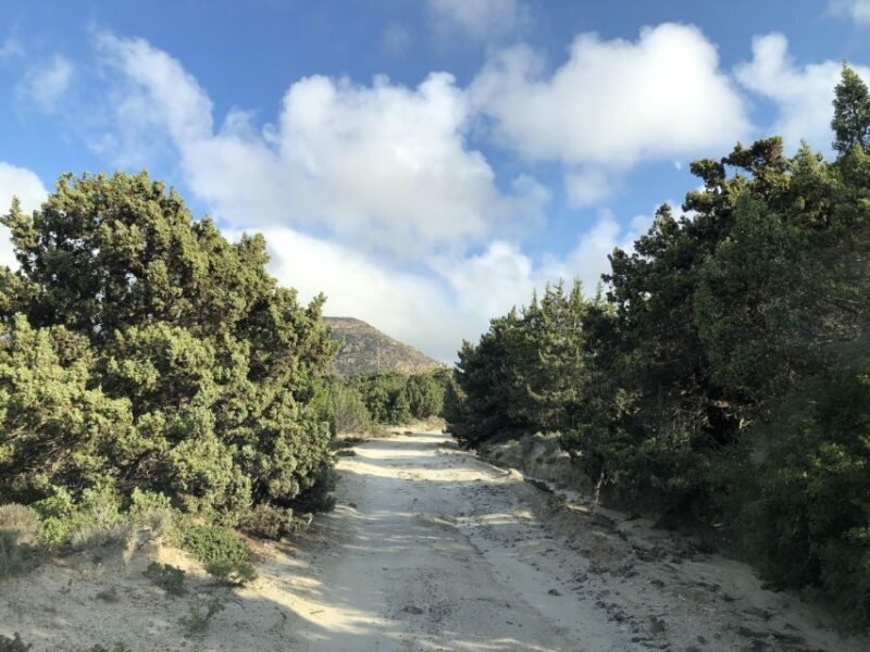 Kos : Off the Beaten Track Tour in Kefalos & Cavo Paradiso - Wrapping Up: Return and Reflection