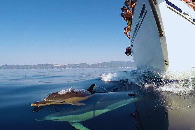 Kos: Small Group Full-Day Sailing with Meal, Drinks, & Swim - Practical Details and Tips