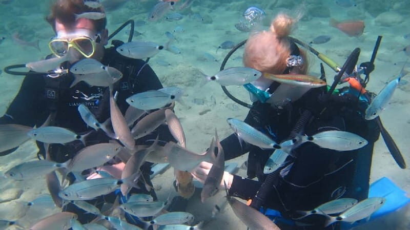 Kos: Try Scuba Diving with a diving boat - Key Points